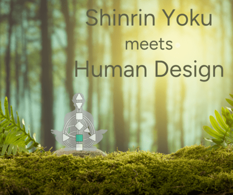 Human Design Waldbaden - Ulrich Ege - ganzheitlich erfolgreich